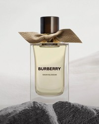 Burberry Signatures | Burberry® Official