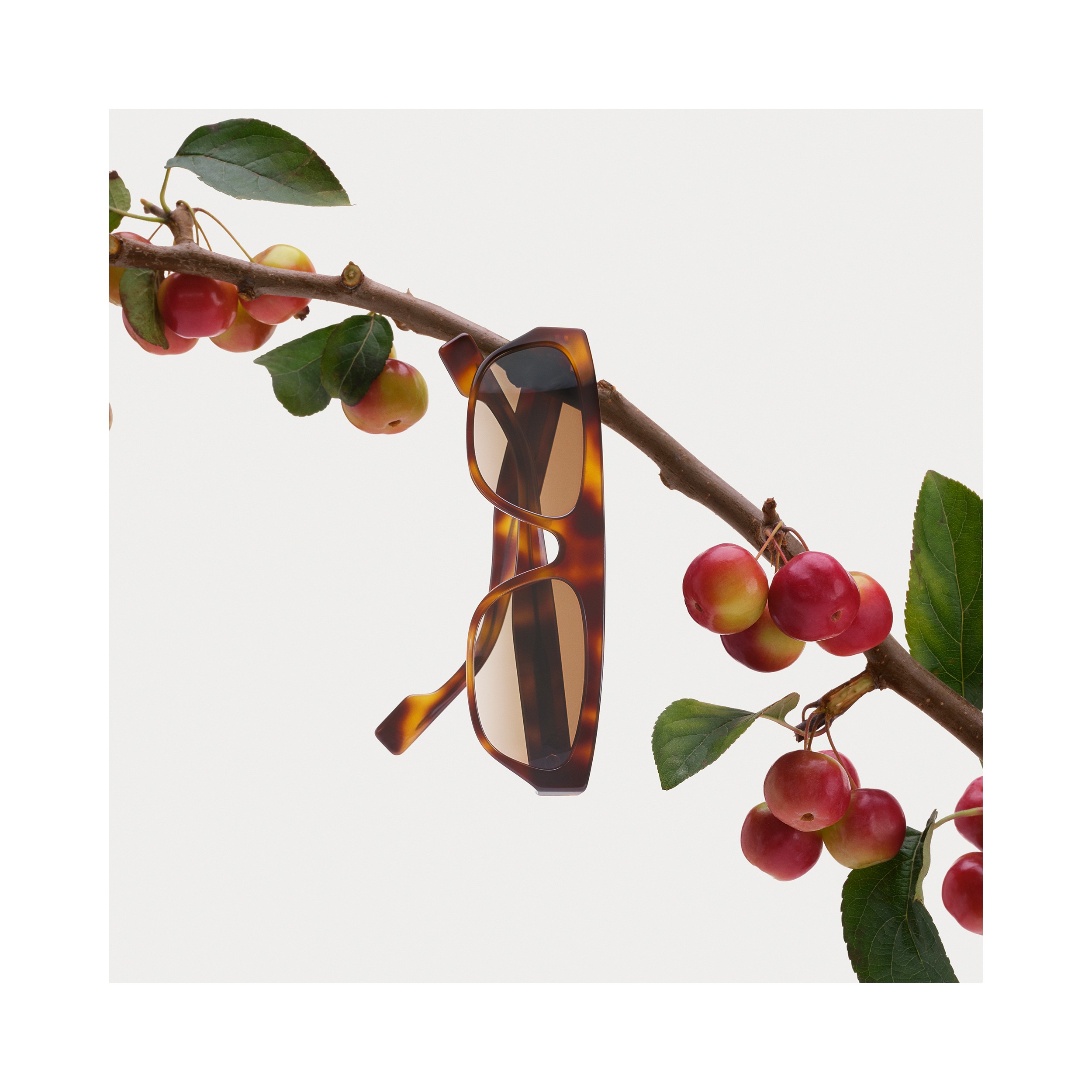 Monogram Motif Rectangular Frame Sunglasses In Amber Tortoiseshell