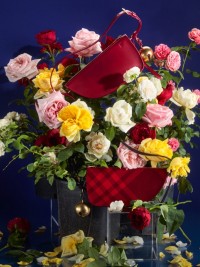 Burberry | Official Website & Store