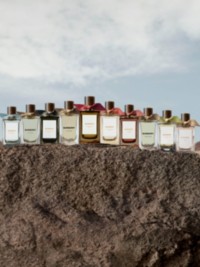 Signature Fragrances