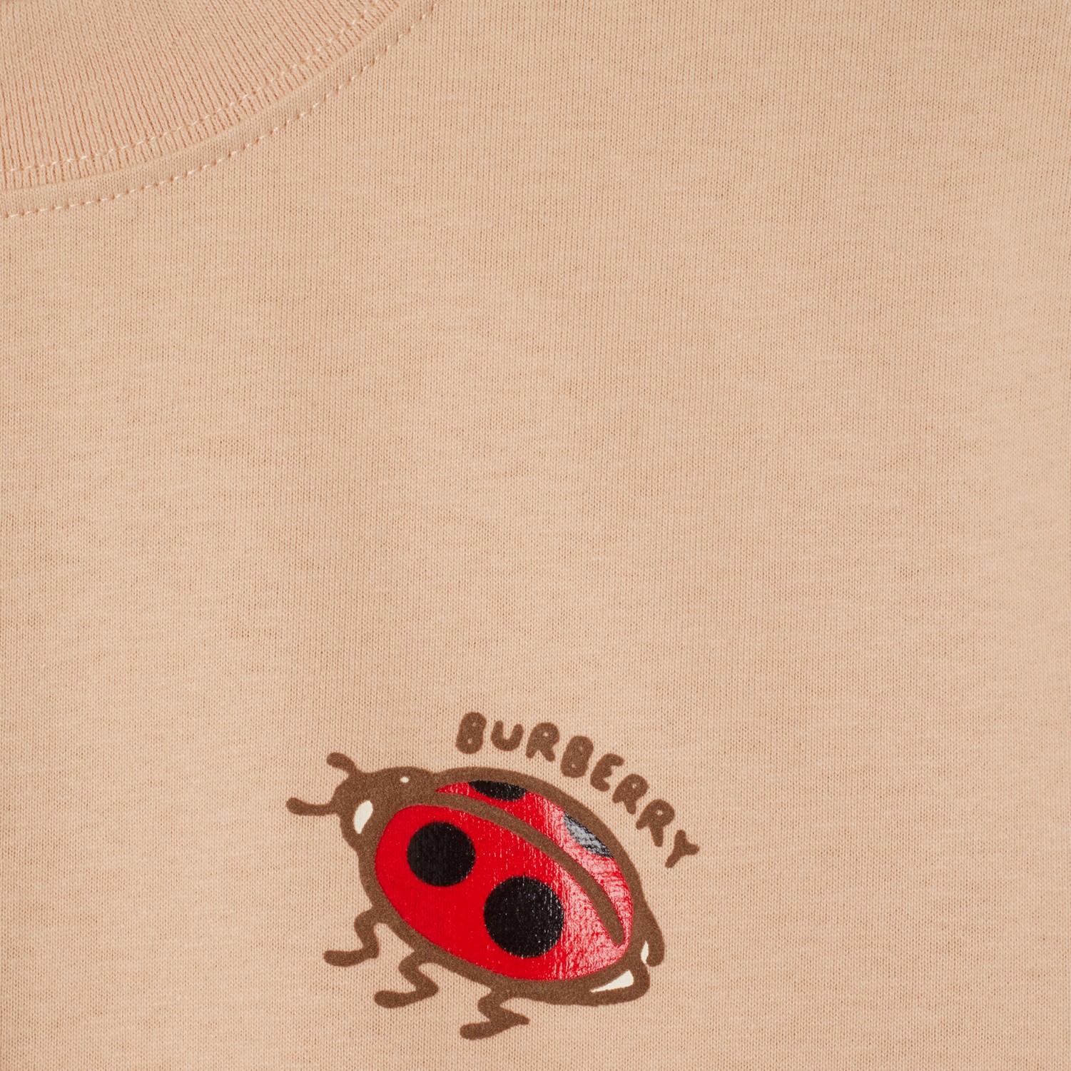 レディバグ コットンTシャツ (ティーカップ) - ウィメンズ レディバグ コットンTシャツ (ティーカップ) - ウィメンズ