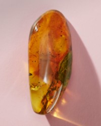 Burberry Her | Burberry®️ Official