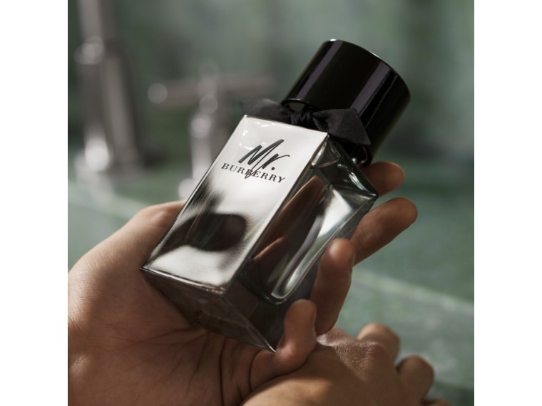 Mr. Burberry Eau de Toilette 100ml | Burberry United States